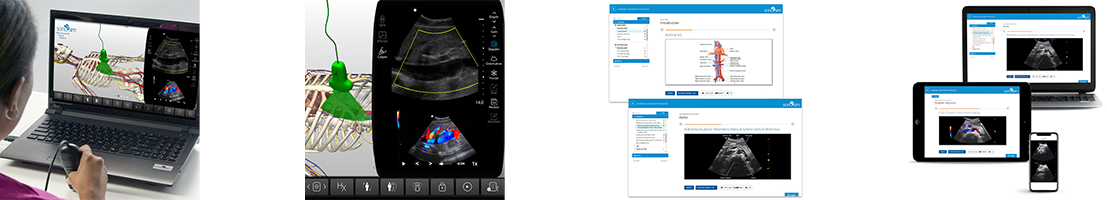 Vascular Ultrasound Training